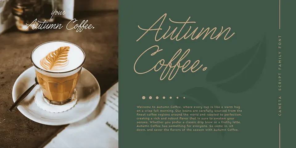 Caneta Script Font - Free Download & Preview | Deefont