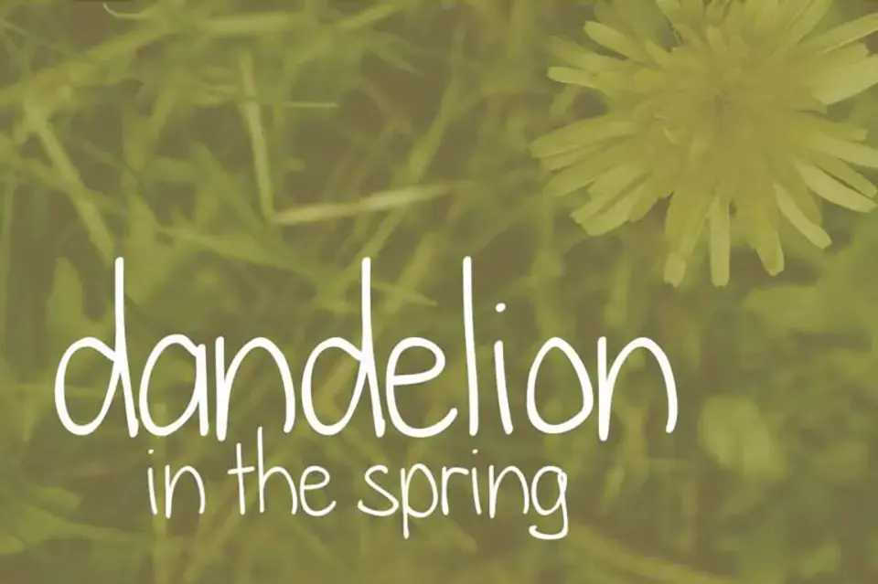 Dandelion in the Spring Font - Free Download & Preview | Deefont