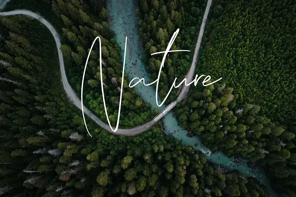 Frank Signature Font - Free Download & Preview | Deefont