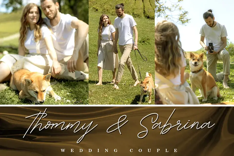 Holly Signature Font - Free Download & Preview | Deefont