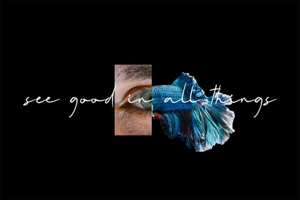 Mallory Quon Font - Free Download & Preview | Deefont