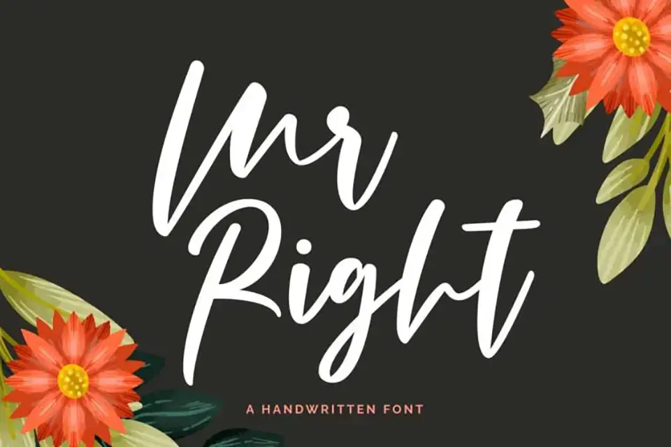 Mr Right Font - Free Download & Preview | Deefont