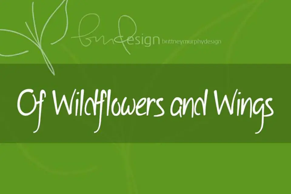 Of Wildflowers and Wings Font - Free Download & Preview | Deefont